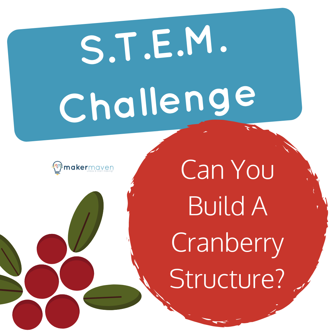 Can You Build A Cranberry Structure? – Maker Maven