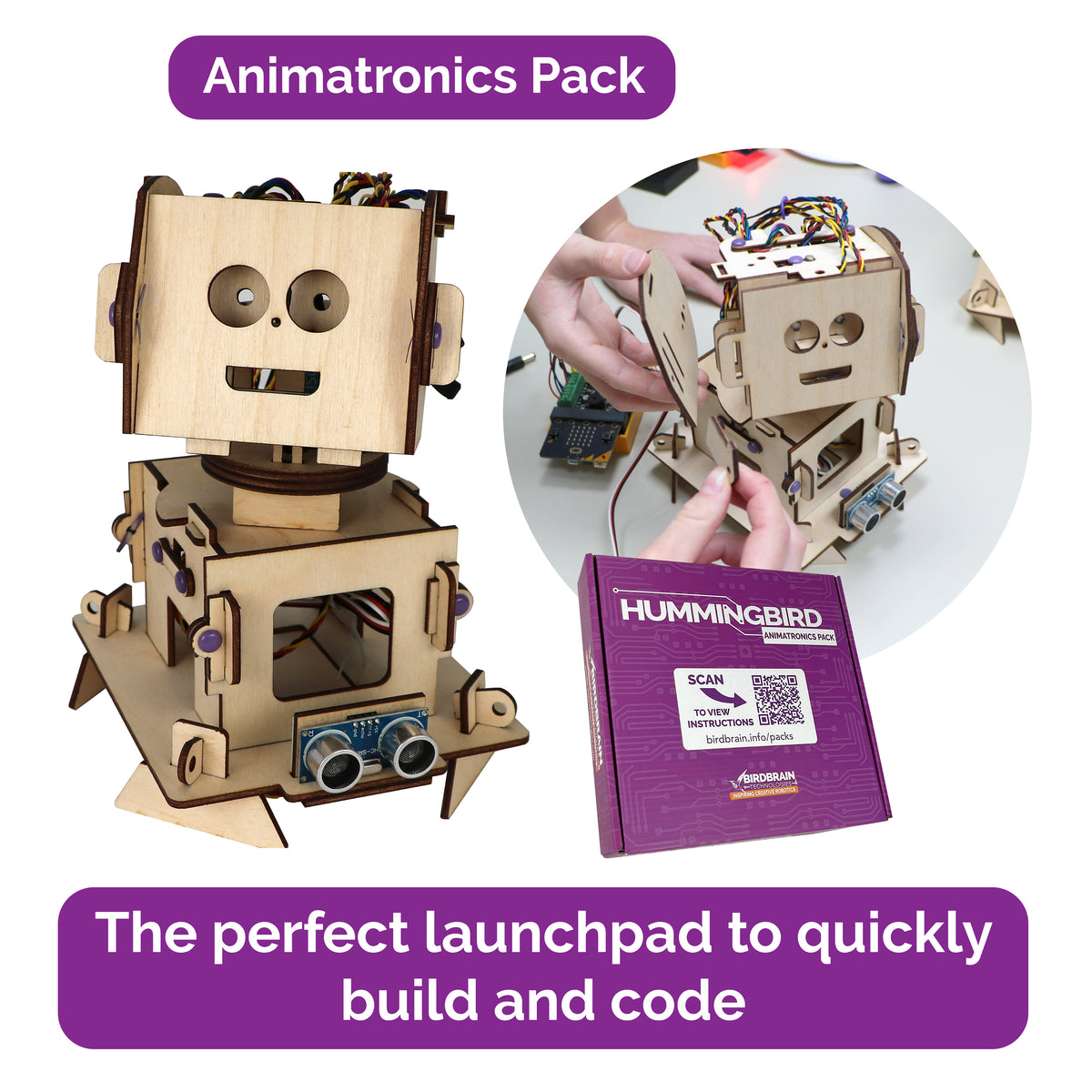 Animatronics Project Pack (5-Pack) – Maker Maven