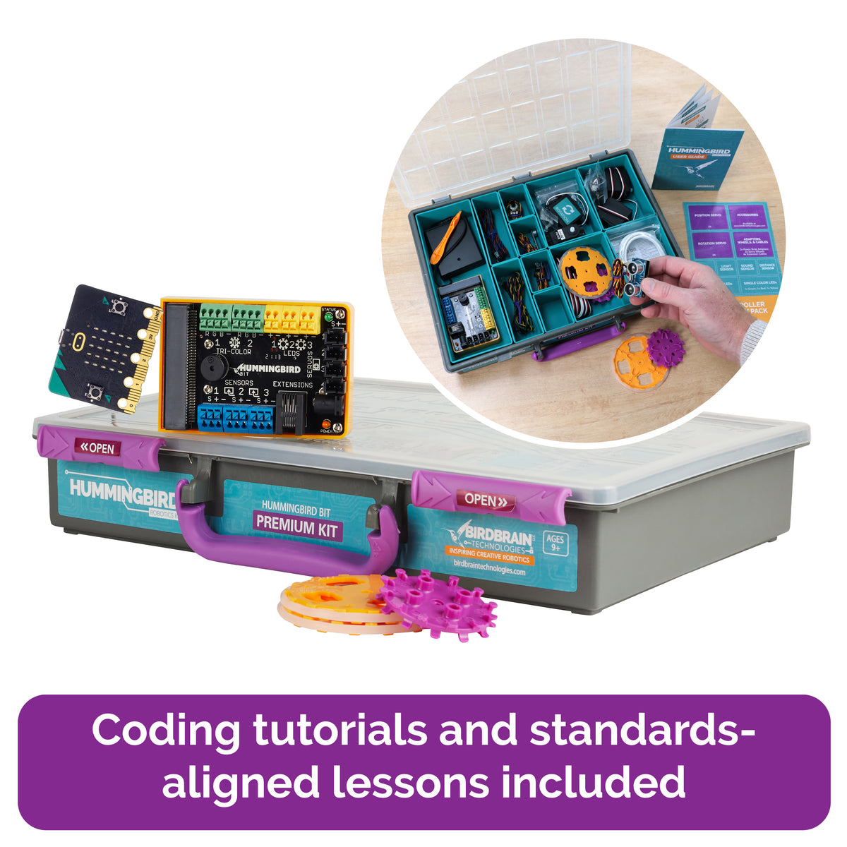 Hummingbird Starter Flock – Maker Maven